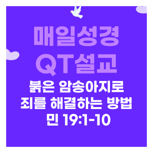 매일 성경 큐티 설교 붉은 암송아지로 죄를 해결하는 방법 민 19장 1 10절