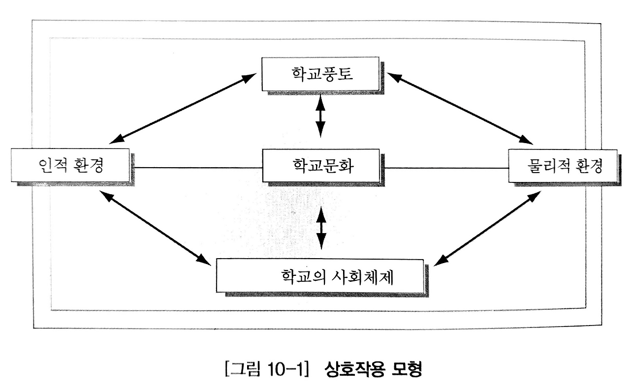 교육학과 교육학 청소년 등 교육사회학 전공 요점 정리 24 학교문화