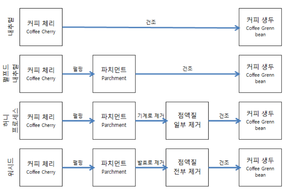 커피 가공법 수세식 가공 반수세식 가공 건식 가공 펄프드 내추럴 가공 허니 프로세스 가공