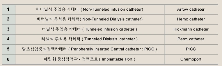 신규간호사 Catheter 관리 중심정맥관c Line A Line