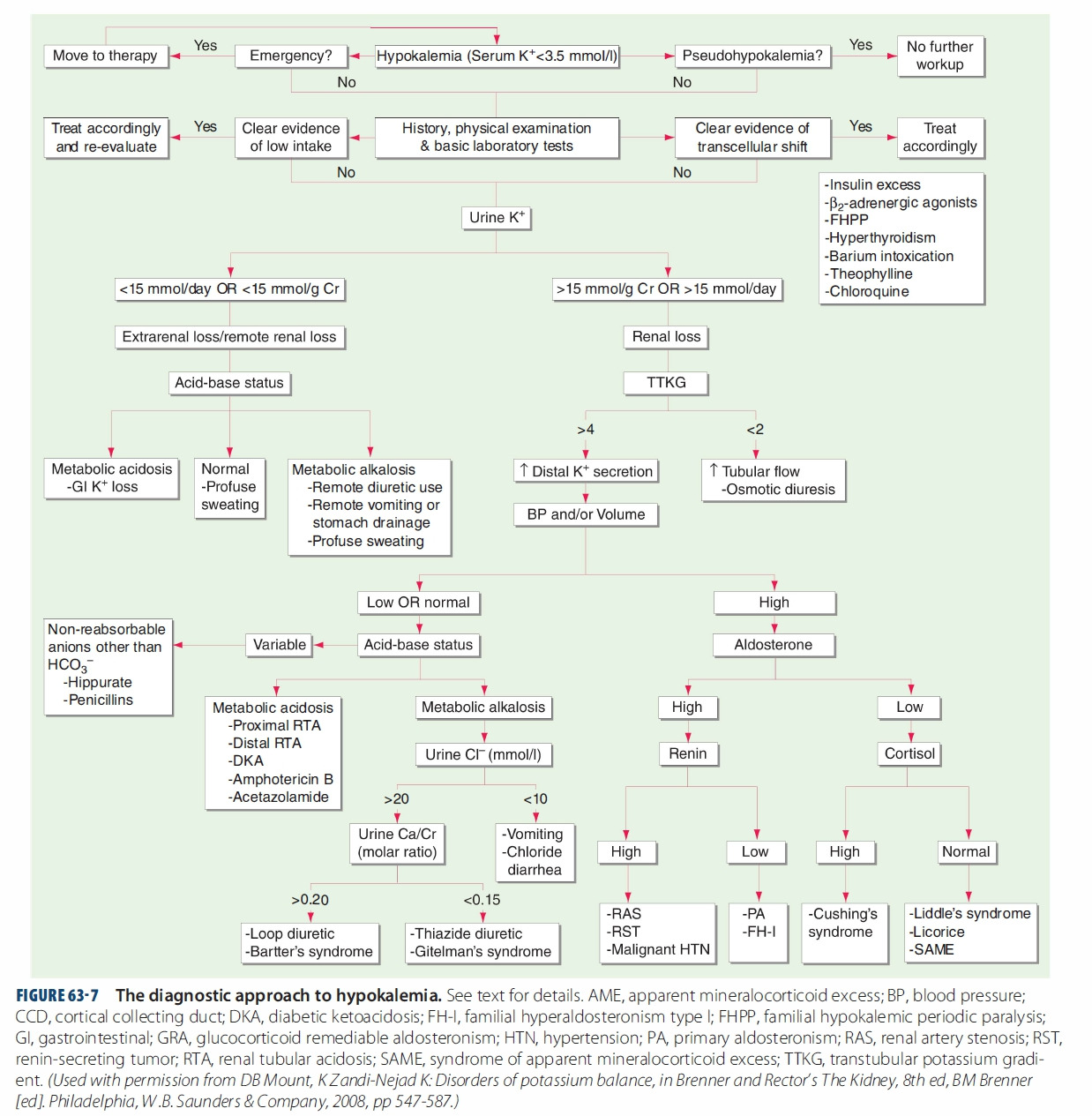 칼륨 계산기 (TTKG, Urine K-to-Cr ratio ; 하루 소변 K 배출량 추정)