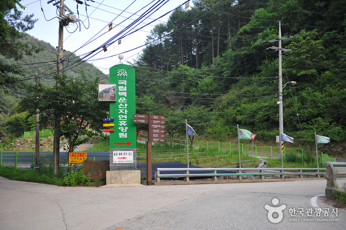 강원도 원주시 국립 백운산자연휴양림원주