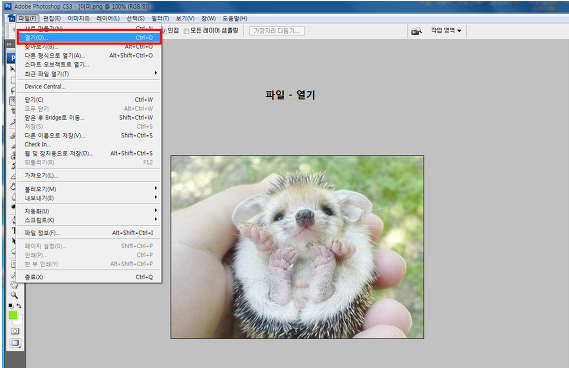 포토샵 이미지 돋보기 효과 만들기 부분 확대 효과 편집 방법