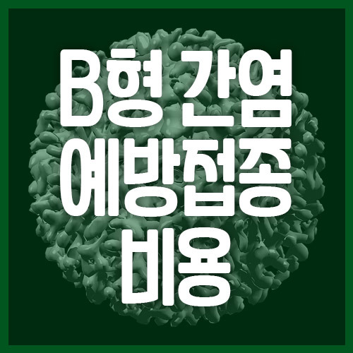 B형 간염 예방접종 비용 확인 병원 및 보건소 찾기
