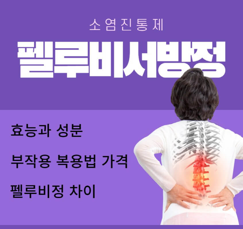 펠루비서방정 효능과 성분 부작용술 두통 복용법 펠루비정 차이 가격