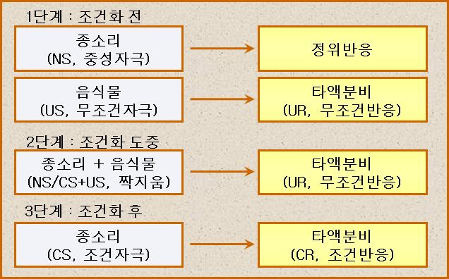 유아 교육학과 유치원 교사 상담심리 등 특수아 상담 요점 정리 52 행동주의 학습이론