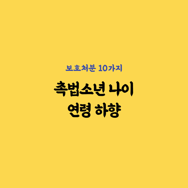 촉법소년 나이 연령 하향 언제되나 보호처분 10가지