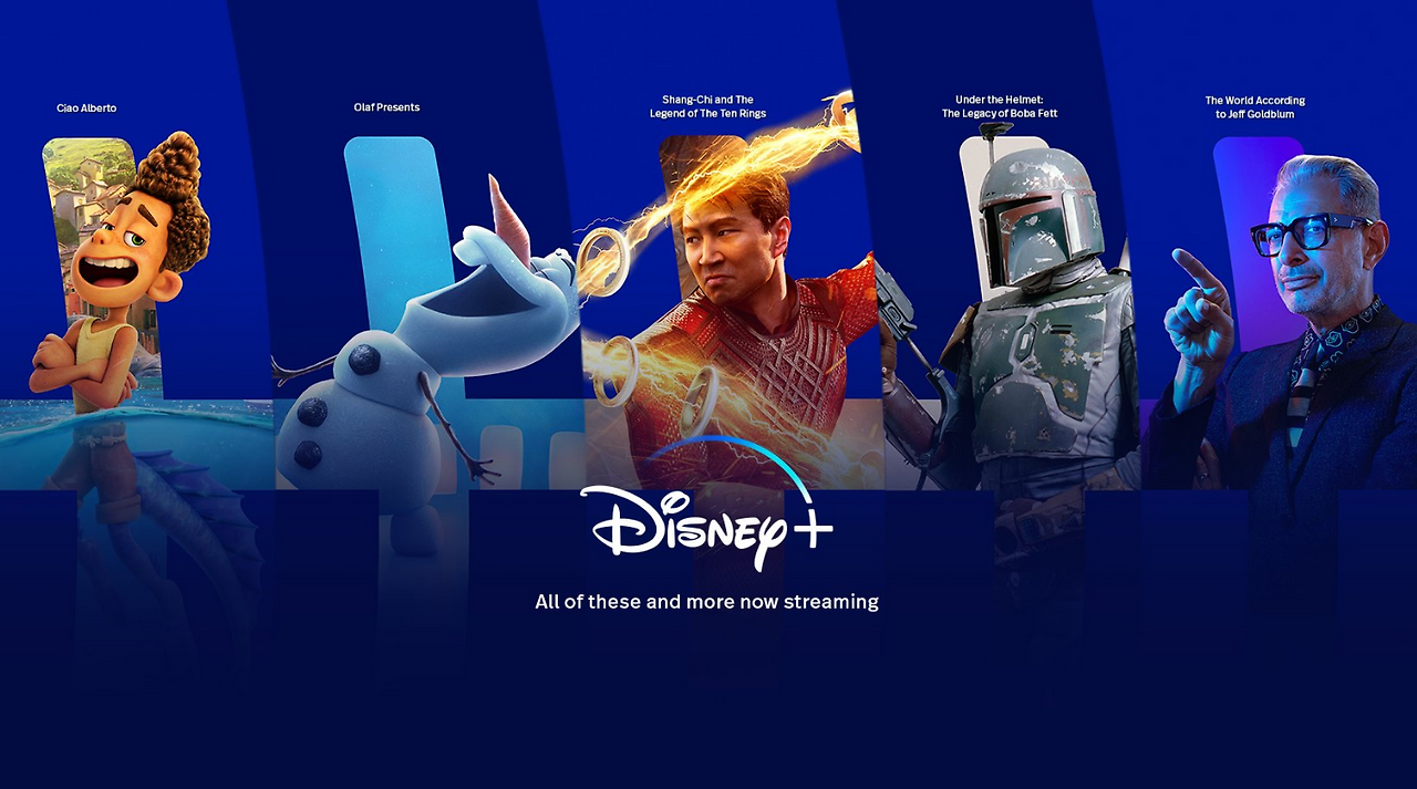 디즈니 플러스 고객센터 (help.disneyplus.com)