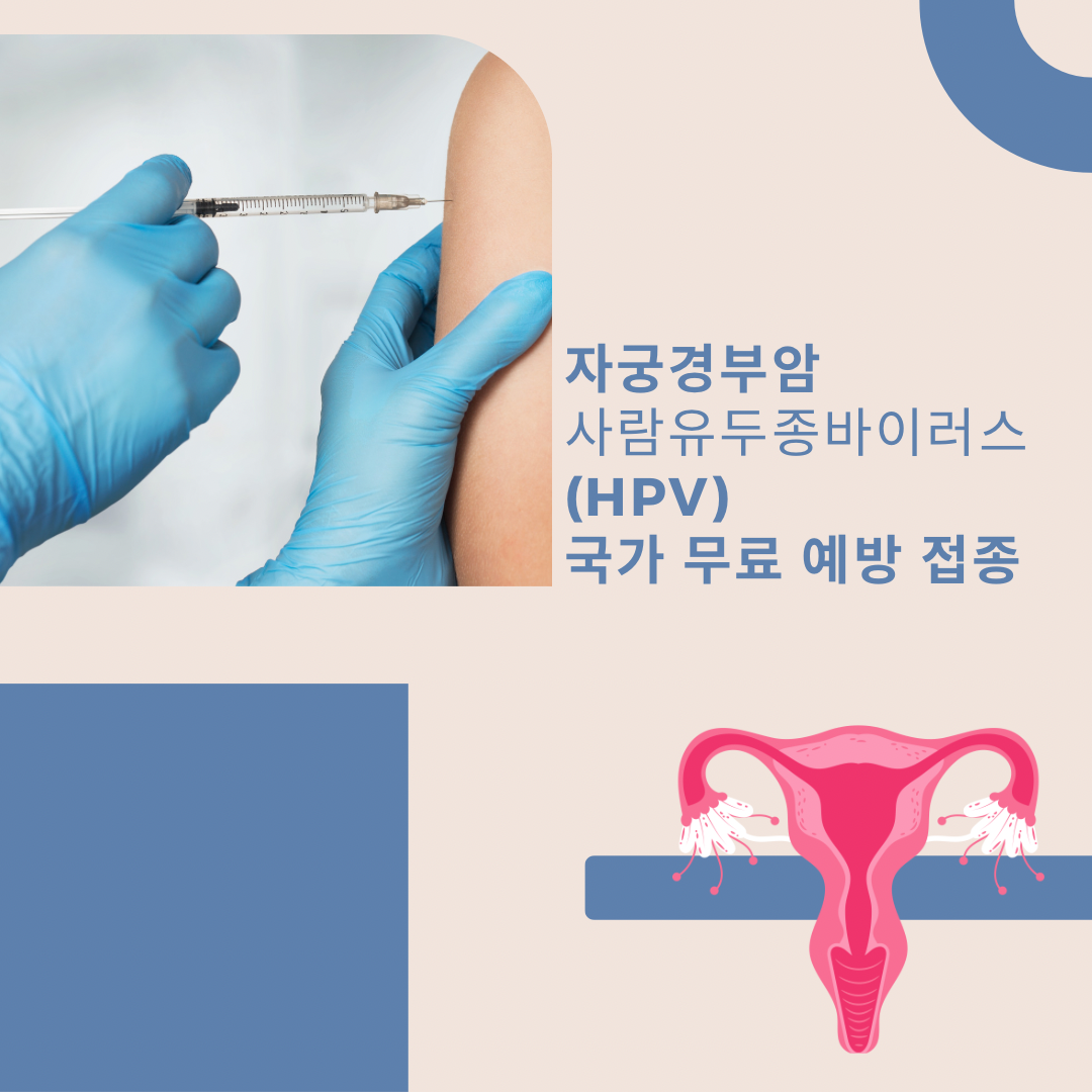 2023년 사람유두종바이러스자궁 경부암hpv 국가 무료 예방 접종의 모든 것