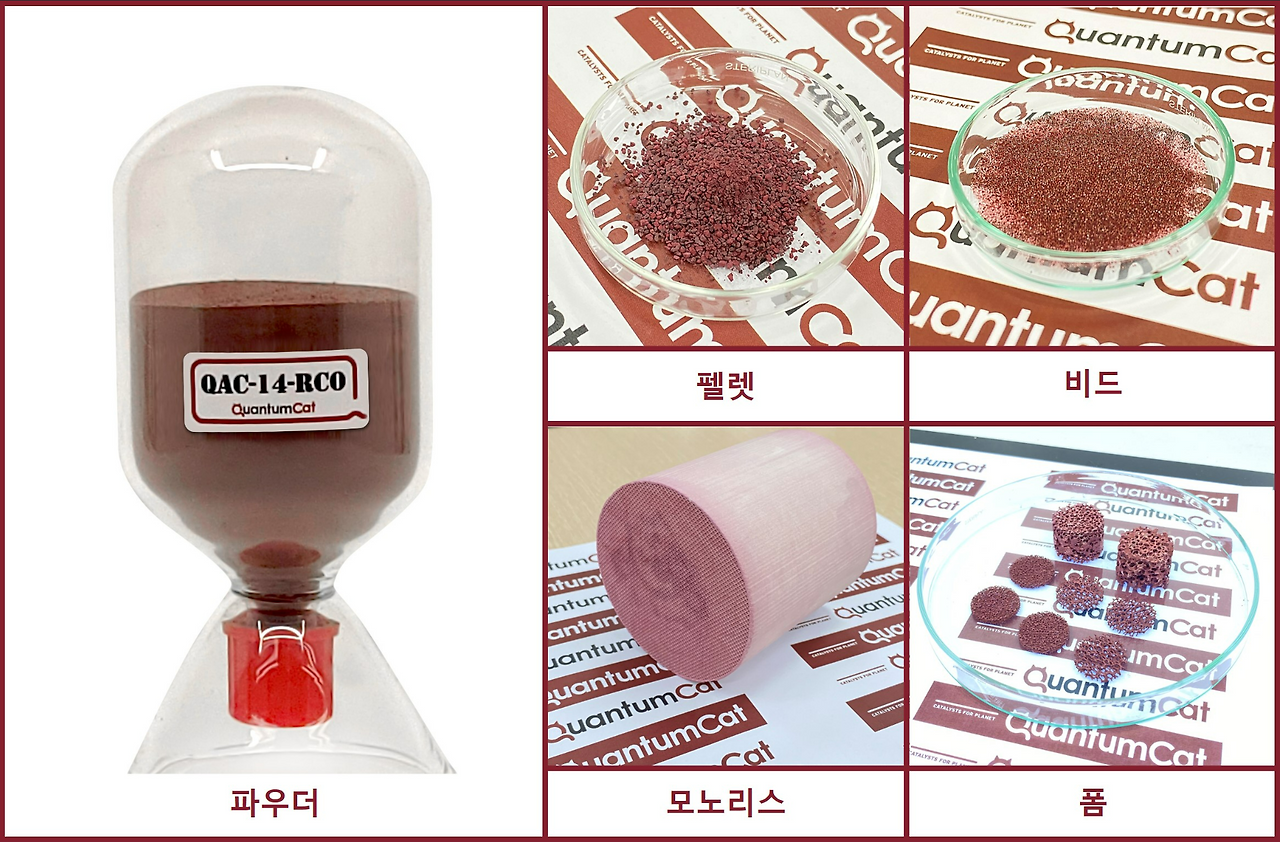 미리보는 Entech 퀀텀캣 지구를 위한 화학 반응을 촉진하다