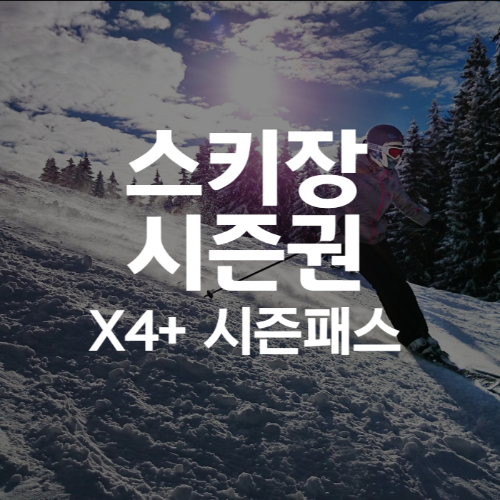 스키장 시즌권 X4 시즌패스 정보