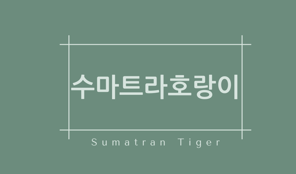 수마트라호랑이sumatran Tiger특징서식지종류천적수명몸무게꿈해몽