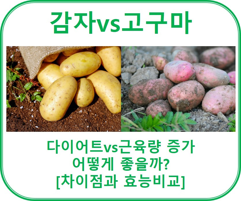다이어트식단 감자vs고구마 누가 더 좋을까