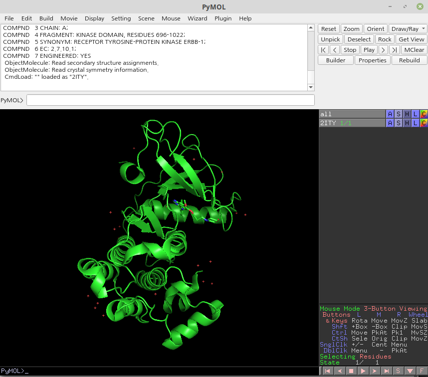 pymol 사용법: protein-ligand interaction 보기