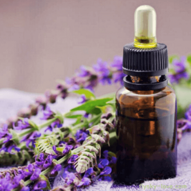 클라리세이지 Clary Sage 클라리세이지 오일 효능 활용법 및 주의 사항