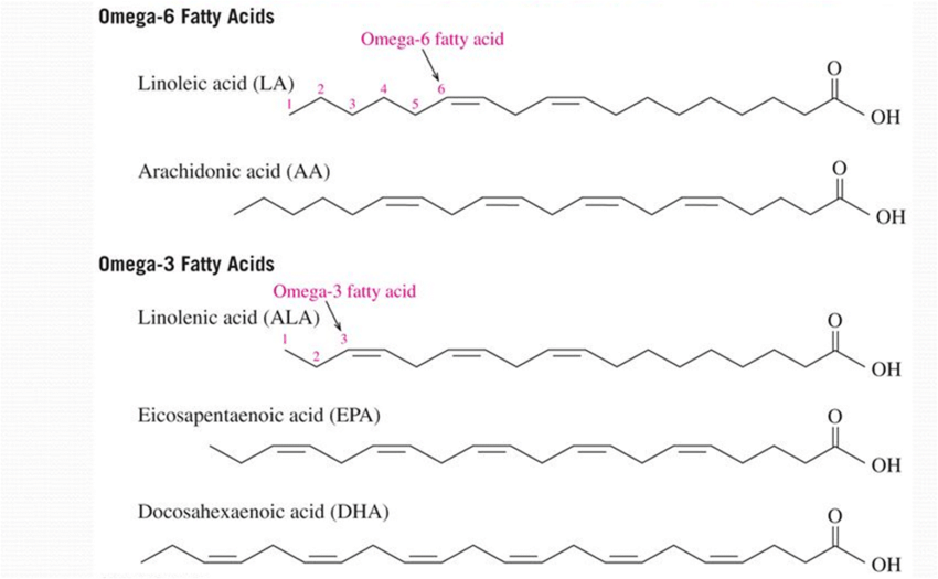 지방산 명명법 - 오메가3, 오메가6