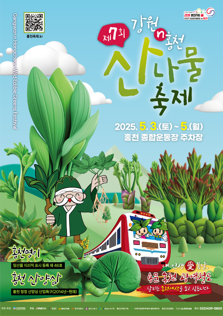 2025 강원n 홍천 산나물축제 일정 및 꿀팁 총정리 알싸한 향 아삭한 식감 산나물의 정수를 맛보는 시간 🌿