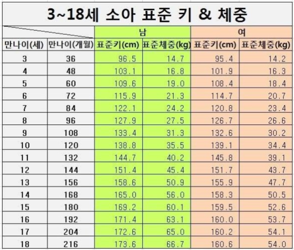 평균 키 몸무게 계산기 남자 여자 표준 Bmi