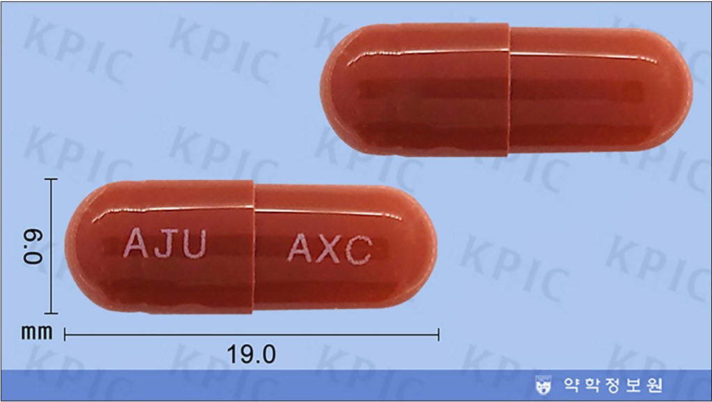 만성정맥질환 치료제 안탁스캡슐antax Cap 180mg 효능 효과 부작용 복용방법 완벽정리