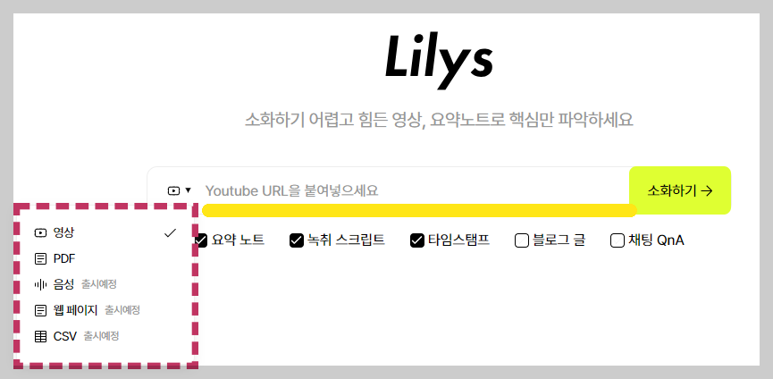 유튜브 동영상 요약 기능 최고 Pdf까지 요약해주는 릴리스 Ai