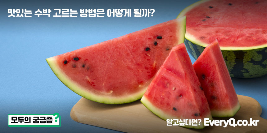 맛있는 수박 고르는 방법은 어떻게 될까 좋은 수박 잘 고르는 방법 수박 맛있는 거 고르기