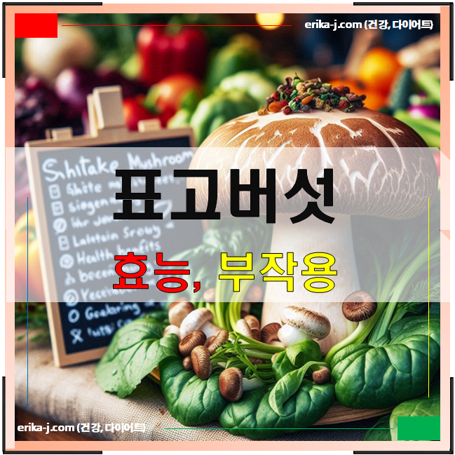 표고버섯 효능과 부작용 다양한 요리 활용법 좋은 상품 고르는 방법