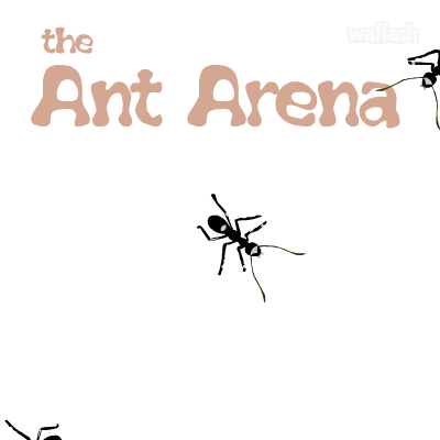 앤트 아레나 (Ant Arena)