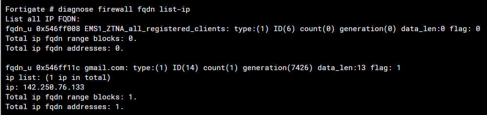Fortigate FQDN address IP list CLI로 확인하는 방법