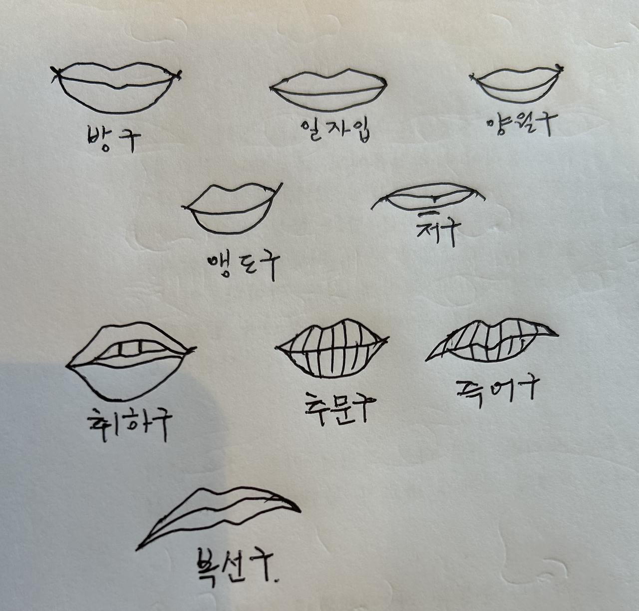 입의 모양관상학 치아의 모양