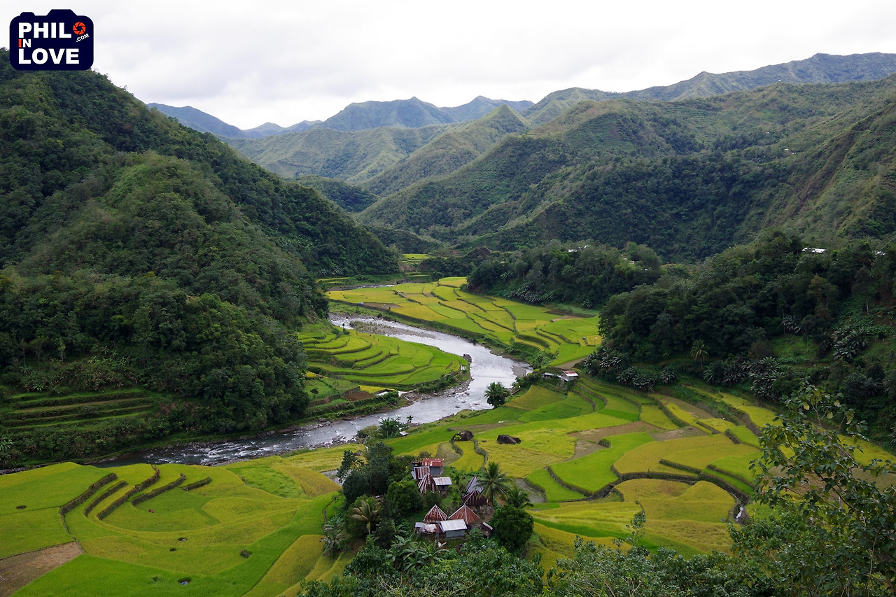 [필리핀 바나웨 여행] 이푸가오족이 일군 기적, 라이스 테라스 이야기