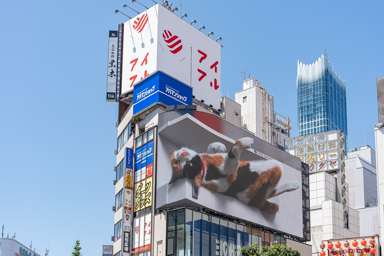 도쿄를 지키는 신주쿠 3D 삼색 고양이 크로스 스페이스 신주쿠 비젼(CROSS SPACE SHINJUKU VISION)