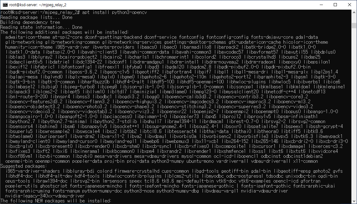 Python3-openCV 설치