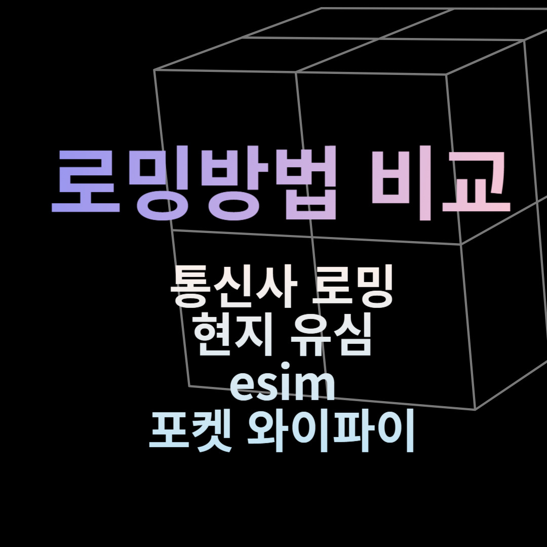 통신사 로밍 현지 유심 Usim Esim 포켓 와이파이 장단점 정리 Skt Lg U 로밍과 유심 Esim 장단점 비교