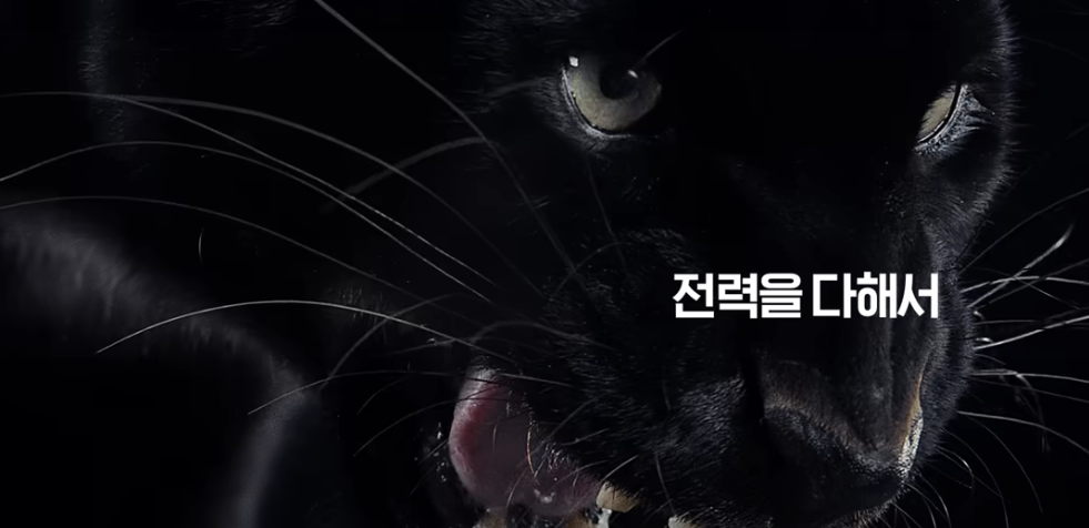2025년 전망 메리츠금융지주 주가 어디까지 오를까 배당금 및 투자 전략 총정리