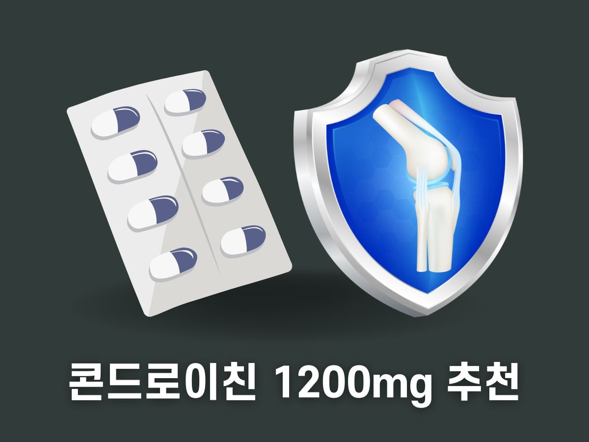 콘드로이친 1200mg가격 효능 복용법 추천