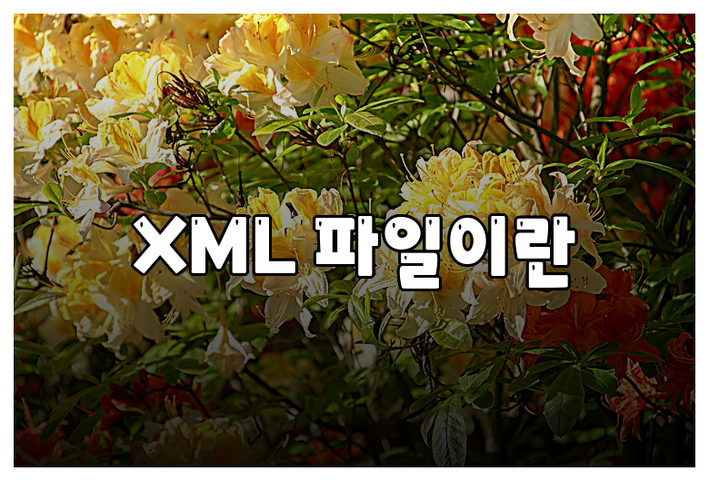 Xml 뷰어를 이용한 Xml 파일 열기와 활용 방법 7991