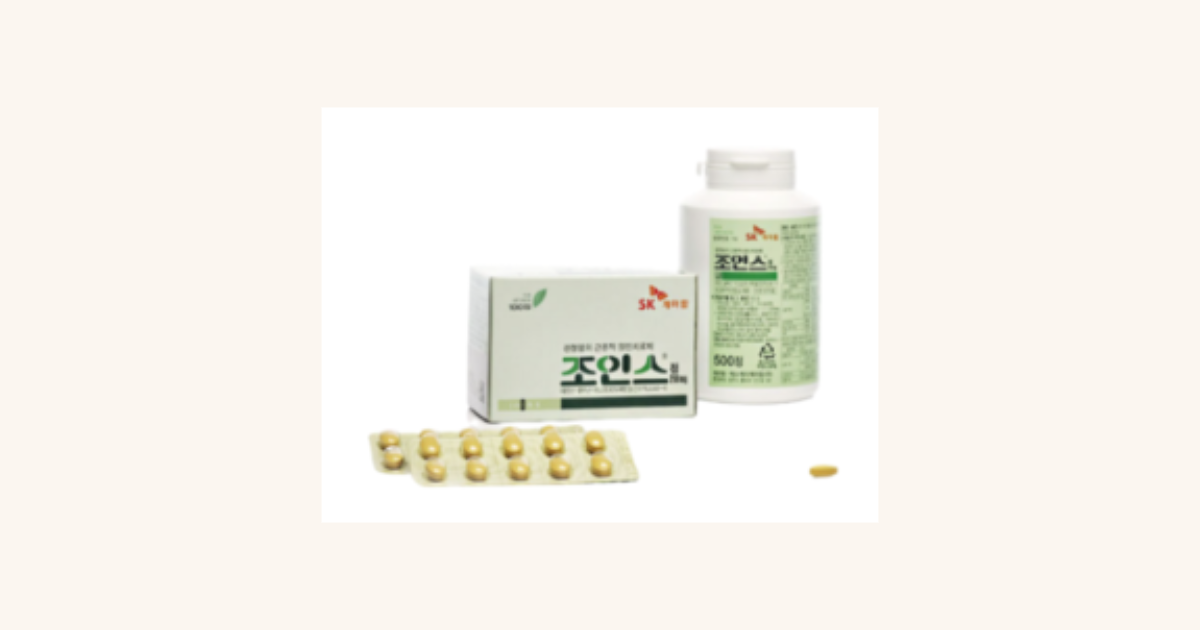 조인스정200mg 주요성분 효능효과 복용방법 주의사항
