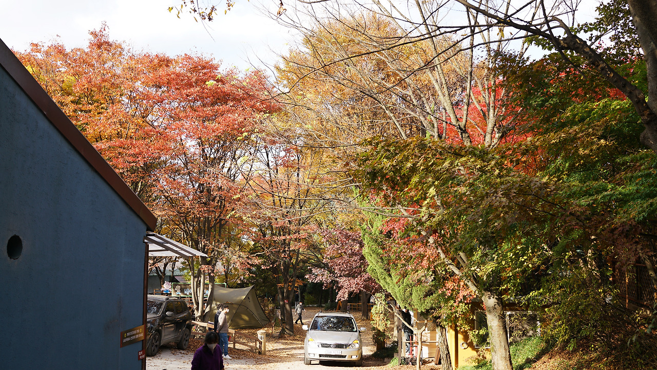 화성 캠핑장 반달곰이살던숲 솔로캠핑