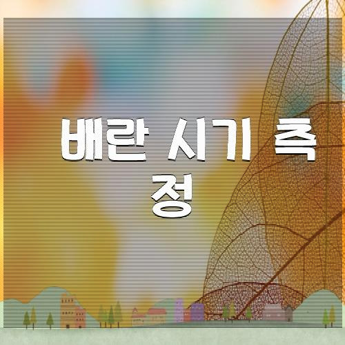 배란 시기 측정