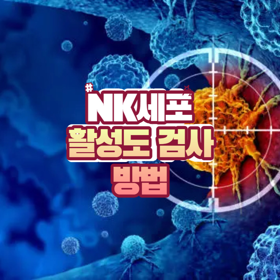 NK 세포 활성도 검사 방법