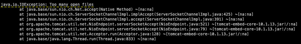 (Linux) Too many open files 에러가 발생하는 경우