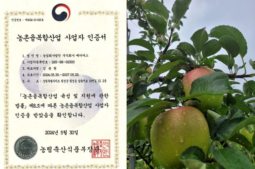 메디머스 그린바이오 횡성사과 메디푸드 베이커리 농촌융복합산업 사업자 인증 그린바이오 메디푸드 플랫폼 메디머스