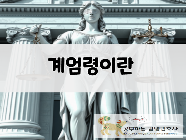 법률 상식 계엄 발동시 제한되는 주요 권리 및 기간 동안 권리 보호 살펴 보기