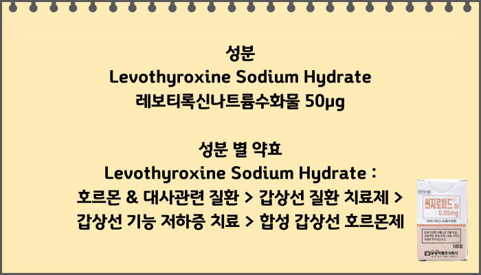 씬지로이드정 005mg 갑상선 기능저하증 약 부작용과 복용법 꼭 확인하세요