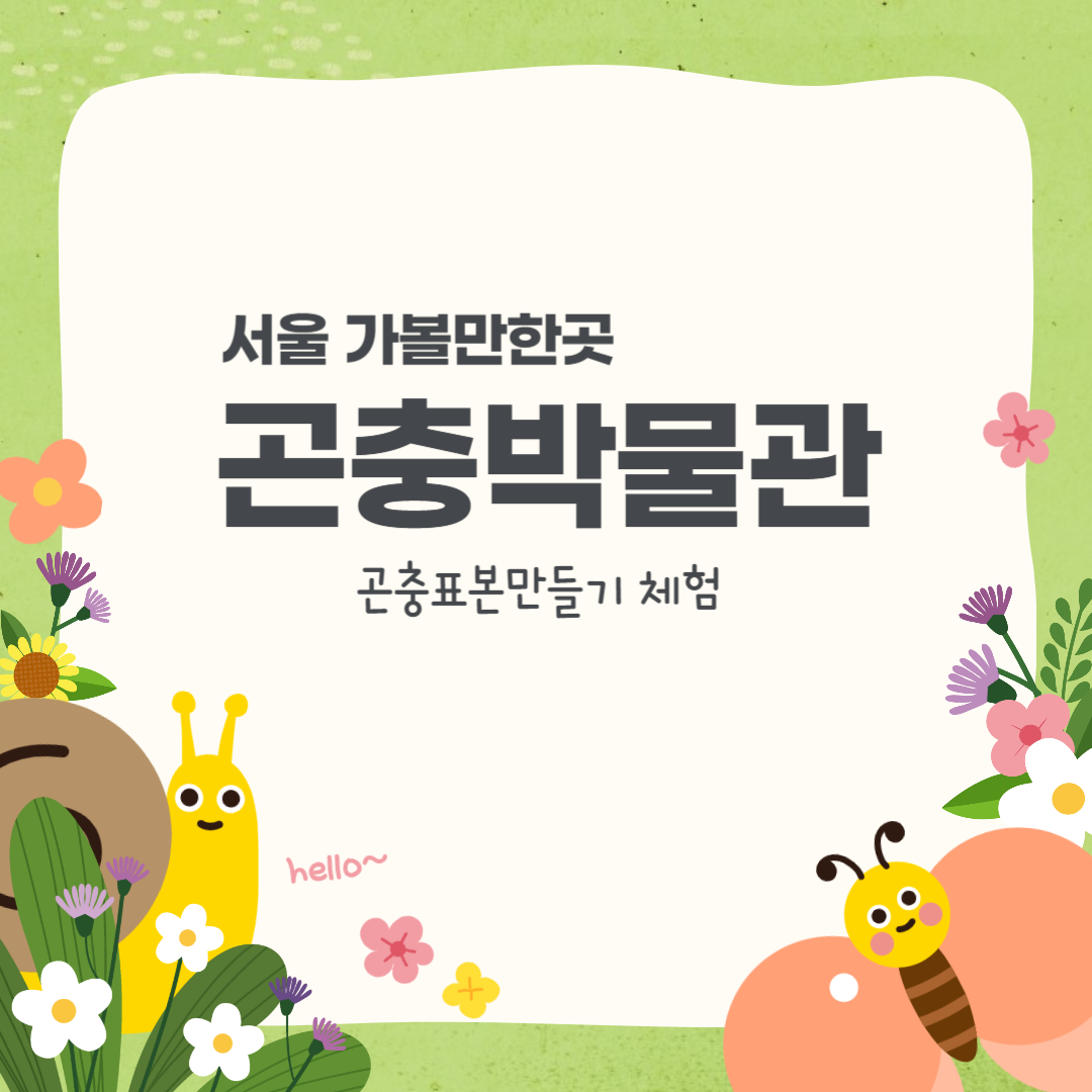 서울 만천곤충박물관 입장료 주차정보 곤충표본만들기 유튜브 링크