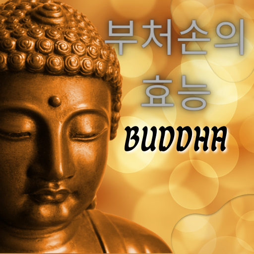 부처손 효능 효과 나무아비타불