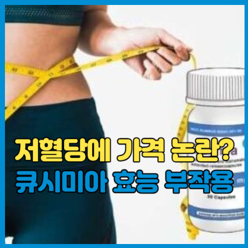 큐시미아qsymia 비만 치료의 새로운 기준 효능과 안전성 부작용 가격 논란