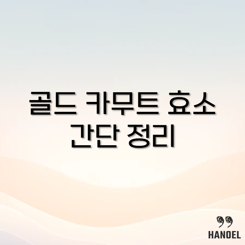 골드 카무트 효소 간단 정리 효능 부작용 먹는법 복용법 먹는시간 제품 추천 및 가격