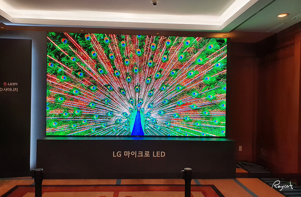 LG 118형 초대형 마이크로 LED TV LG 매그니트 출시