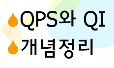 왕초보 QPS , QPS와 QI 개념 정리